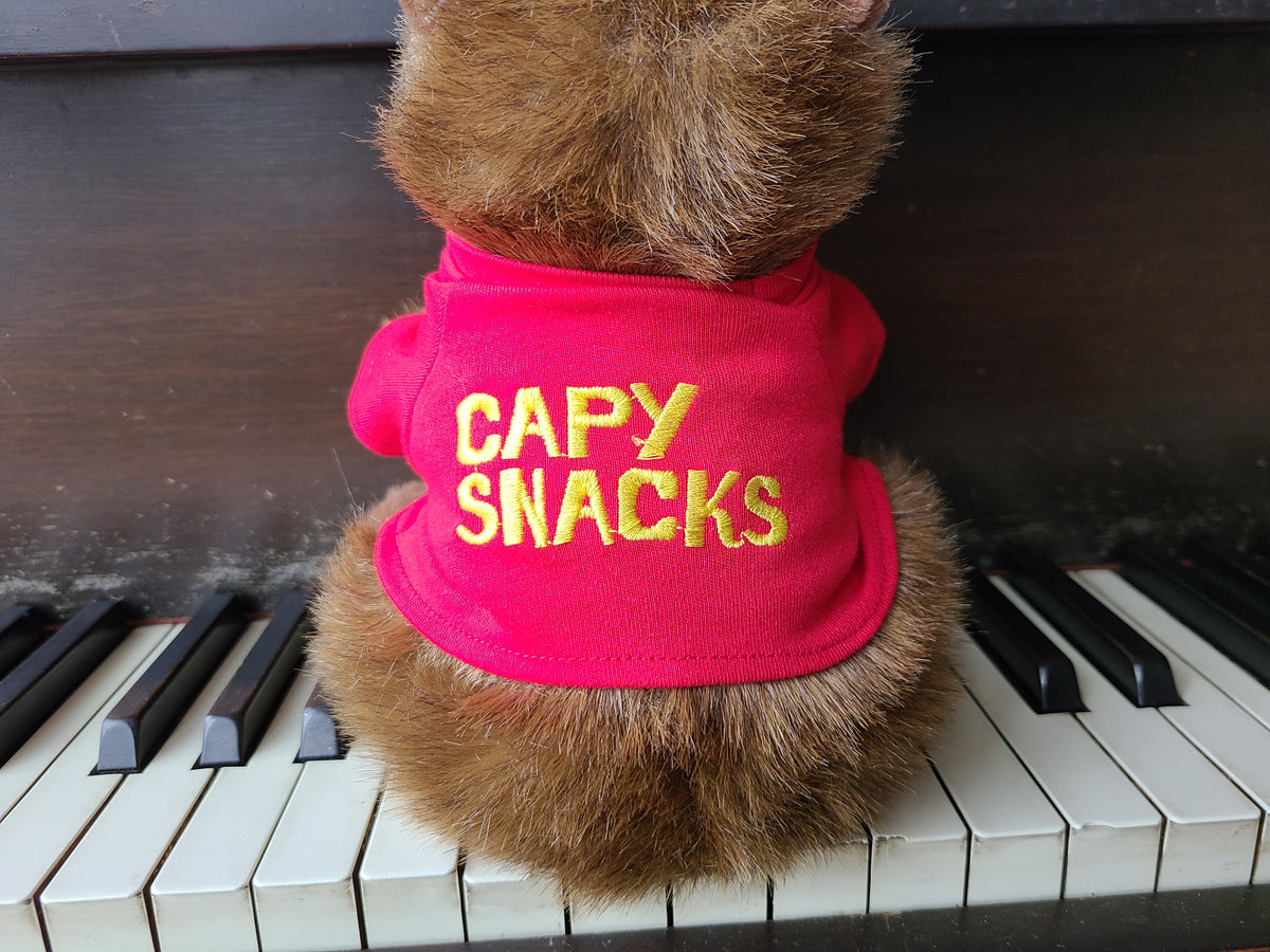 Capy Plushie – Urban Artifact