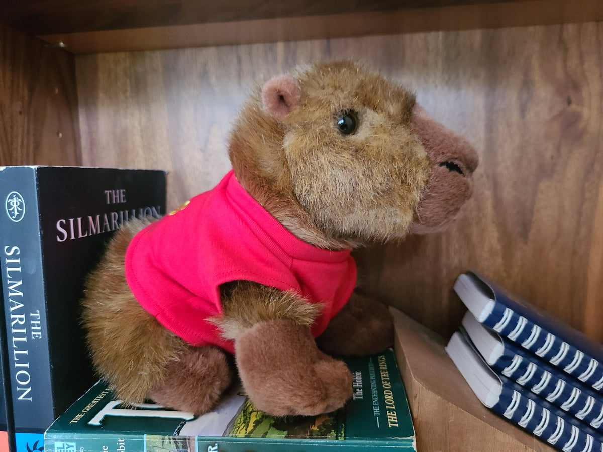 Capy Plushie – Urban Artifact